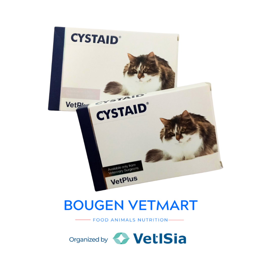 Jual Cystaid /pcs | Shopee Indonesia