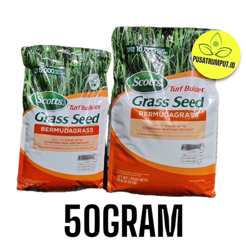 Jual PROMO! benih - bibit rumput bermuda grass - bibit rumput golf ...