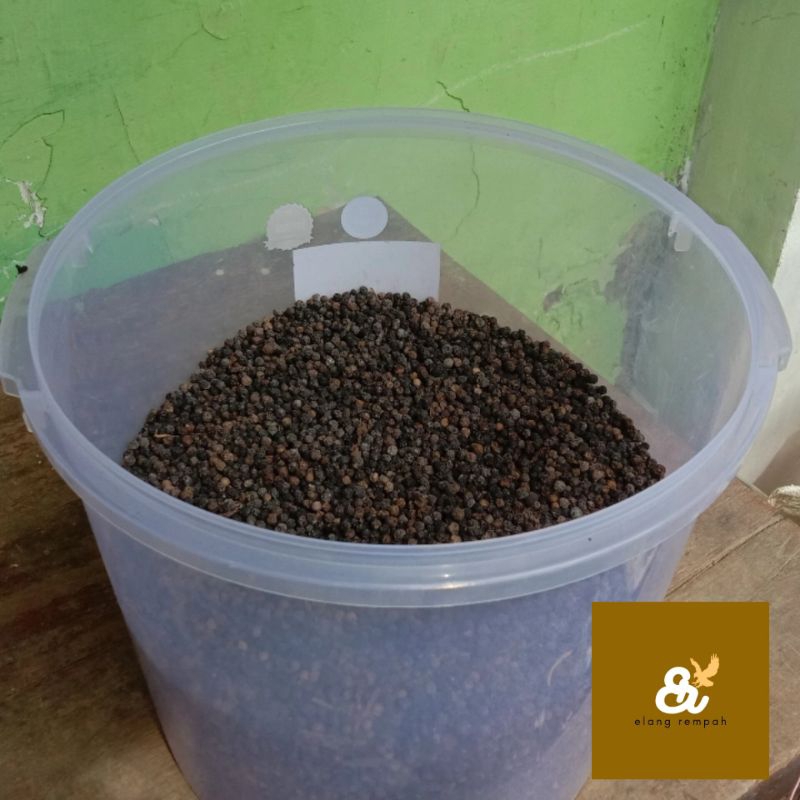 Jual LADA HITAM BLACK PEPPER 100 GRAM MERICA HITAM | Shopee Indonesia