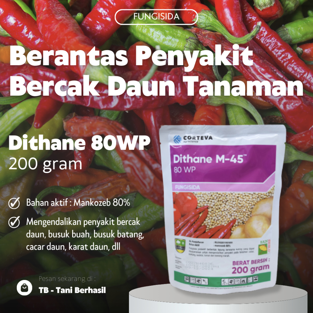 Jual Fungisida Dithane M-45 80WP 200 gram, Berantas Penyakit Bercak ...