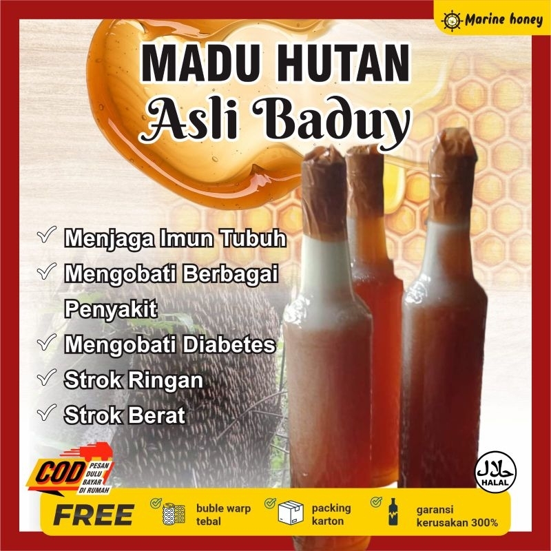 Jual Madu Hutan Lebah Liar Murni 100%...Madu Pedalaman Hutan lebah Apis ...
