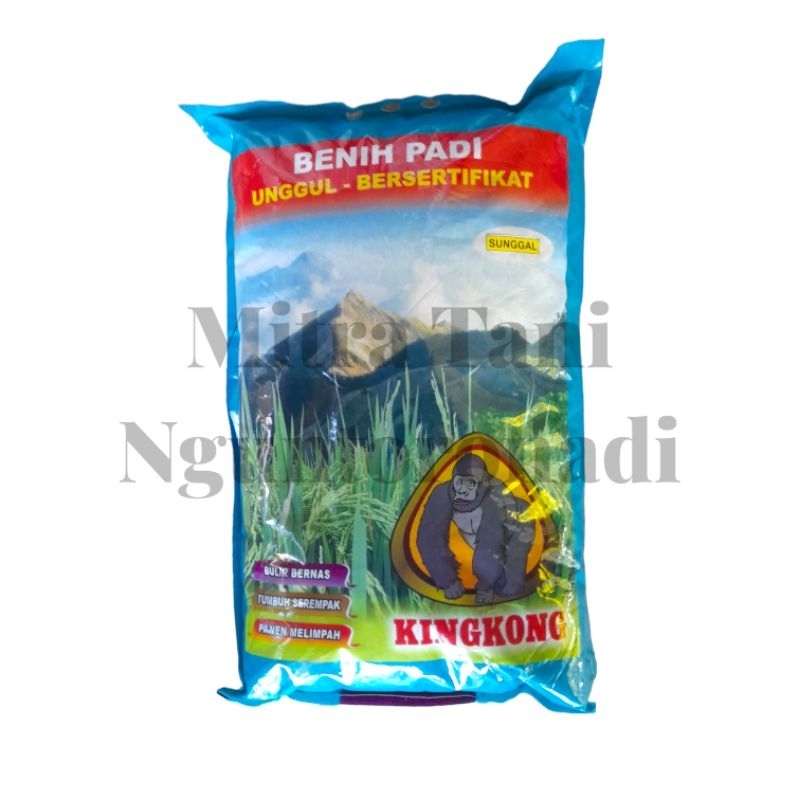 Jual Benih Padi Unggul Sunggal Cap Kingkong 5Kg | Shopee Indonesia