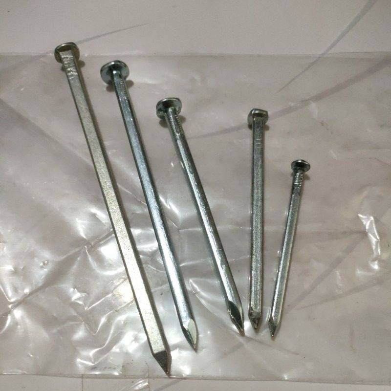 Jual Paku kapal putih variasi 3"-6" (per ons=100 gram) | Shopee Indonesia
