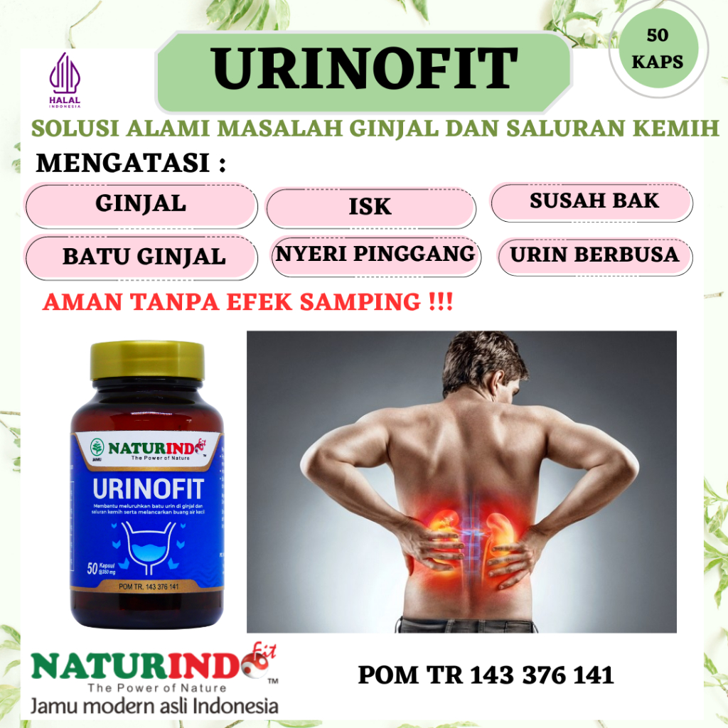Jual Obat Ginjal Infeksi Saluran Kemih Kencing Berbusa Batu Ginjal Nyeri Pinggang Kencing Batu ...