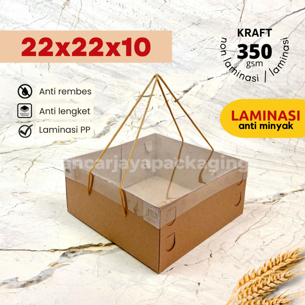 Jual Box Mika Tali Kotak Kemasan Jinjing Kue Tart Pudding Roti 22x22x10 ...