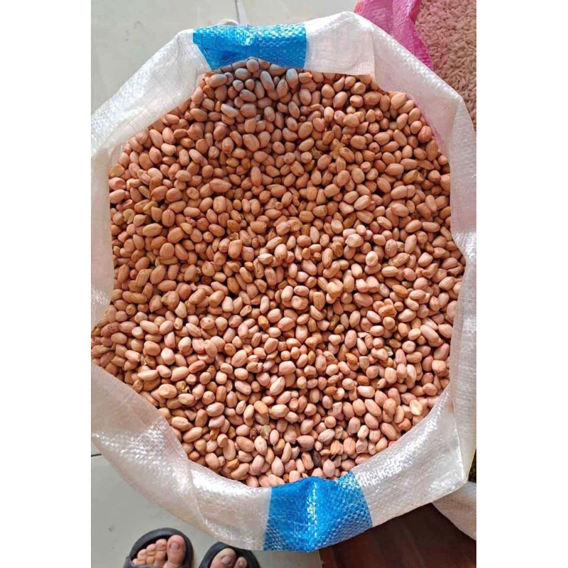 Jual Kacang Tanah Import India 1KG Grade A Fresh | Shopee Indonesia