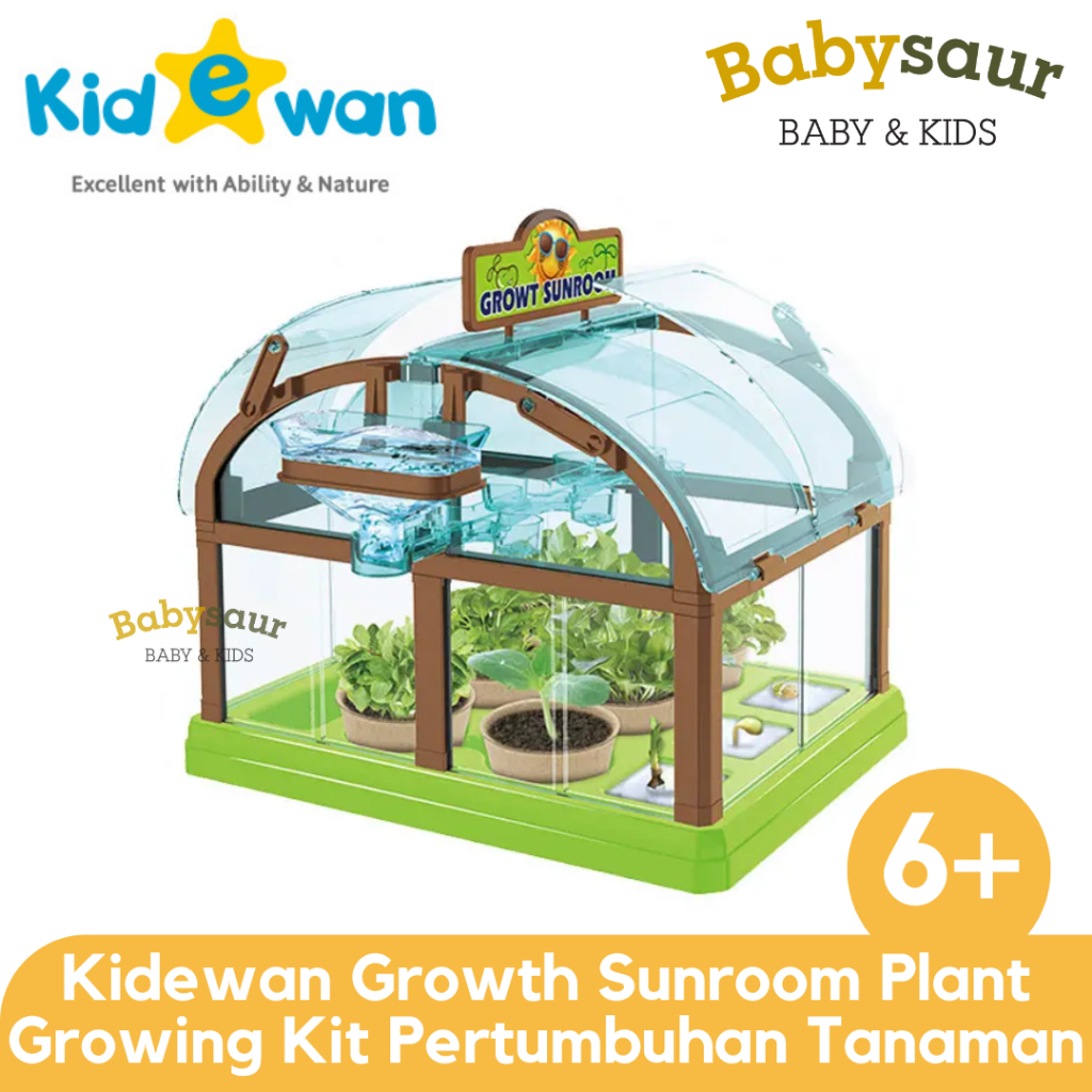 Jual Kidewan Growth Sunroom Plant Growing Kit Mainan Edukasi Menanam ...
