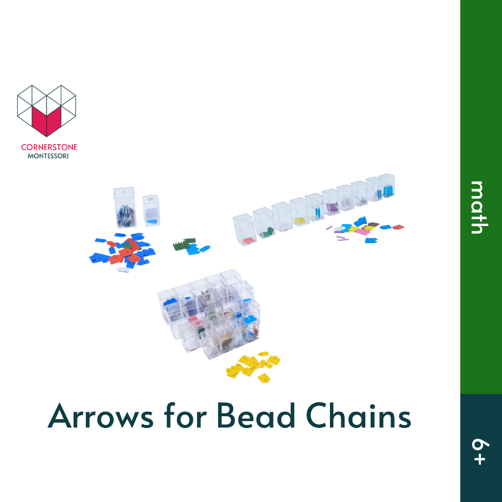 Jual Cornerstone Montessori Arrows for Bead Chains - Montessori Math ...