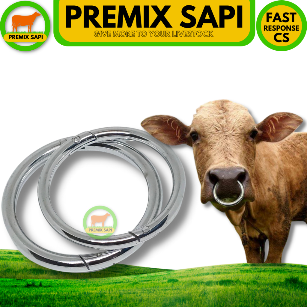 Jual BULL RING - Cincin Anting Tindik Hidung Sapi Kerbau - Diameter 8 ...