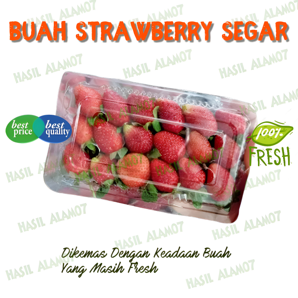 Jual Buah Strawberry Kemasan Fresh 1 Pack | Shopee Indonesia