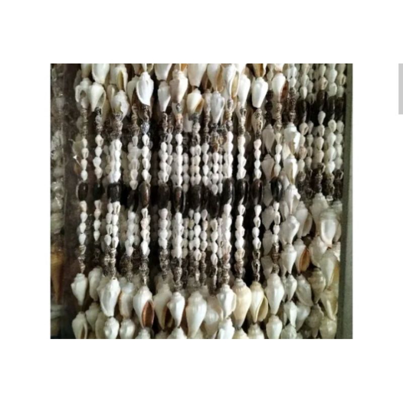 Jual TIRAI KERANG PINTU 20untai (1kg) | Shopee Indonesia