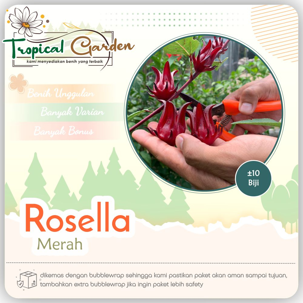 Jual Tropical Garden Benih Biji Bunga Rosella Tanaman Herbal COD ...