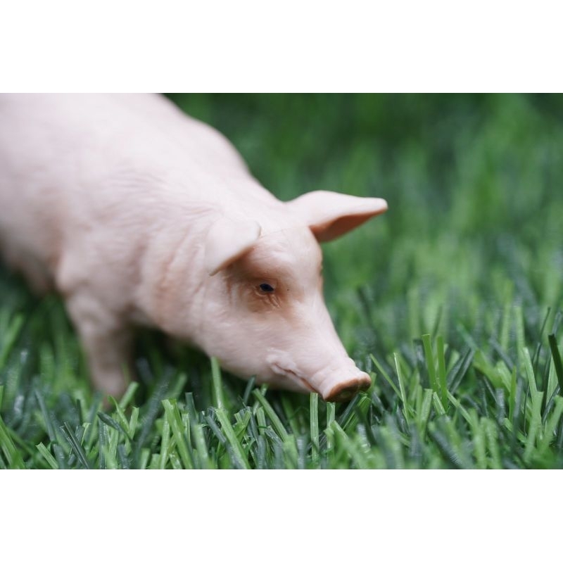 Jual Female Piglet Babi Mainan Animal Figure Binatang Edukasi Anak ...