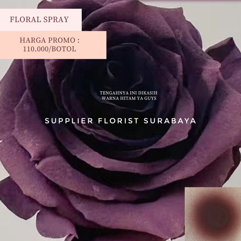 Jual FLORAL COLOR SPRAY CEPAT KERING PENGUBAH WARNA BUNGA ASLI ...