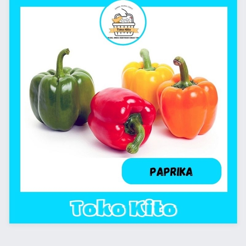 Jual PAPRIKA / PAPRIKA SEGAR / MERAH / KUNING / HIJAU PER-BUAH | Shopee ...