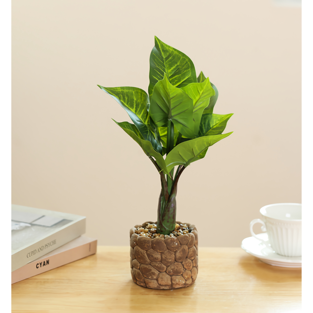 Jual CEILO Tanaman Aglonema Artificial Premium | Tanaman Dekorasi ...