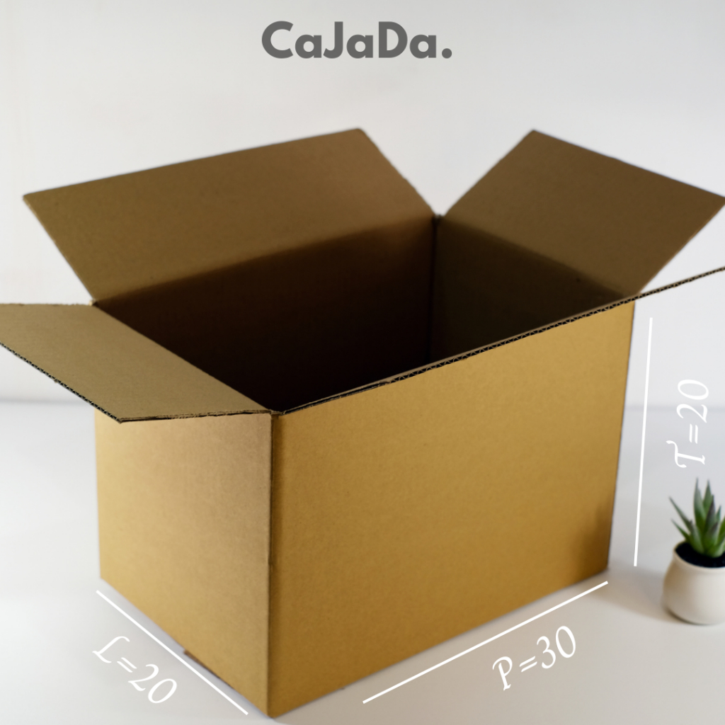 Jual (10 pcs) Karton Box Baru 30x20x20 cm Kardus coklat kotak polos ...