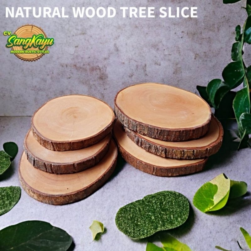 Jual Wood slice 29-31 cm potongan log kayu hiasan dinding dll craft ...