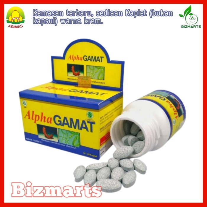 Jual Obat Herbal Nyeri Sendi dan Vitamin Tulang | Alpha Gamat PREMIUM ...