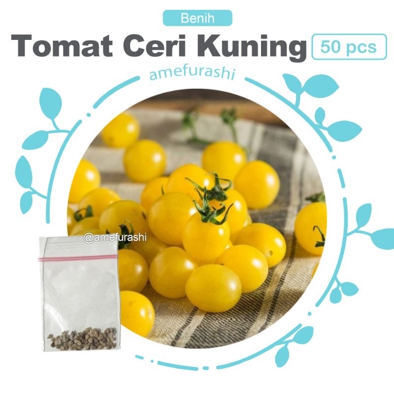 Jual Amefurashi 50 Biji Benih Tomat ceri Kuning Yellow Cherry Tomato ...