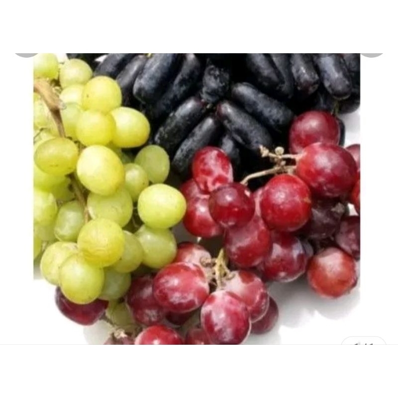 Jual Anggur mix 3 macam 1kg / 4 macam | Shopee Indonesia