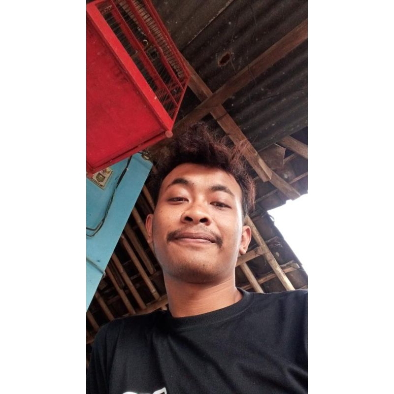 Jual ayang | Shopee Indonesia