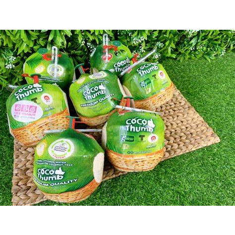 Jual Kelapa Coco Thumb Thailand | Shopee Indonesia