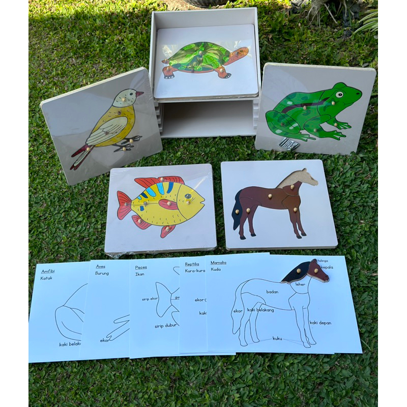 Jual Montessori Puzzle kuda/ katak/ kura/ burung/ ikan (zoology ...
