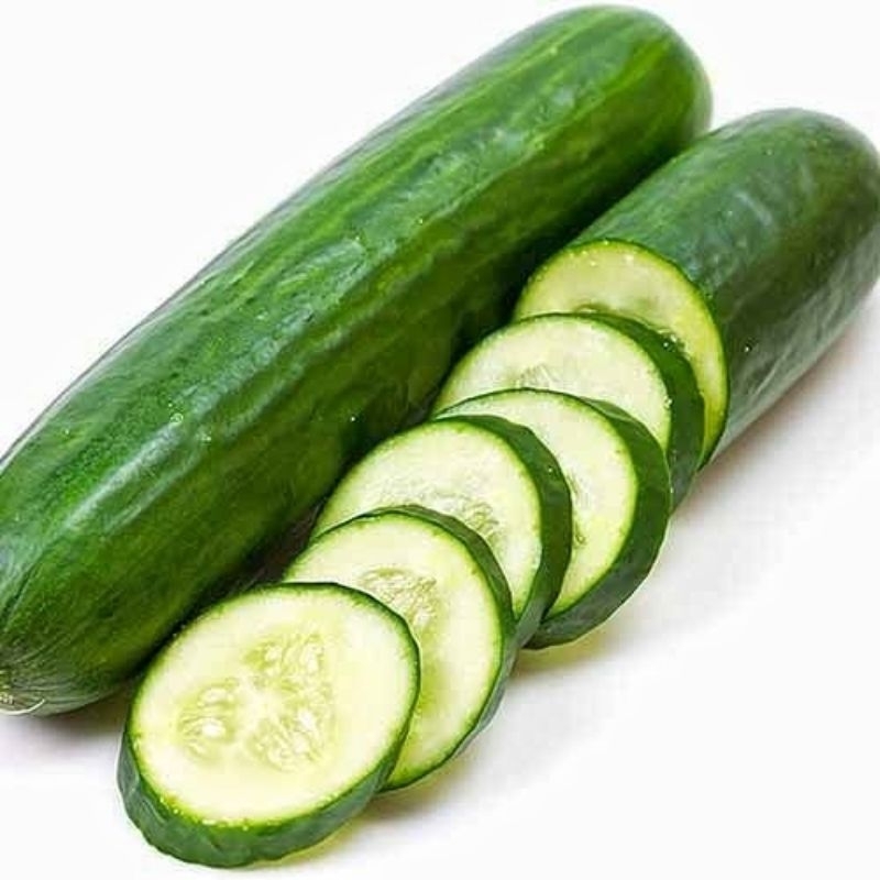 Jual Replika irisan buah timun / Replika sayuran timun / Vegetarian ...