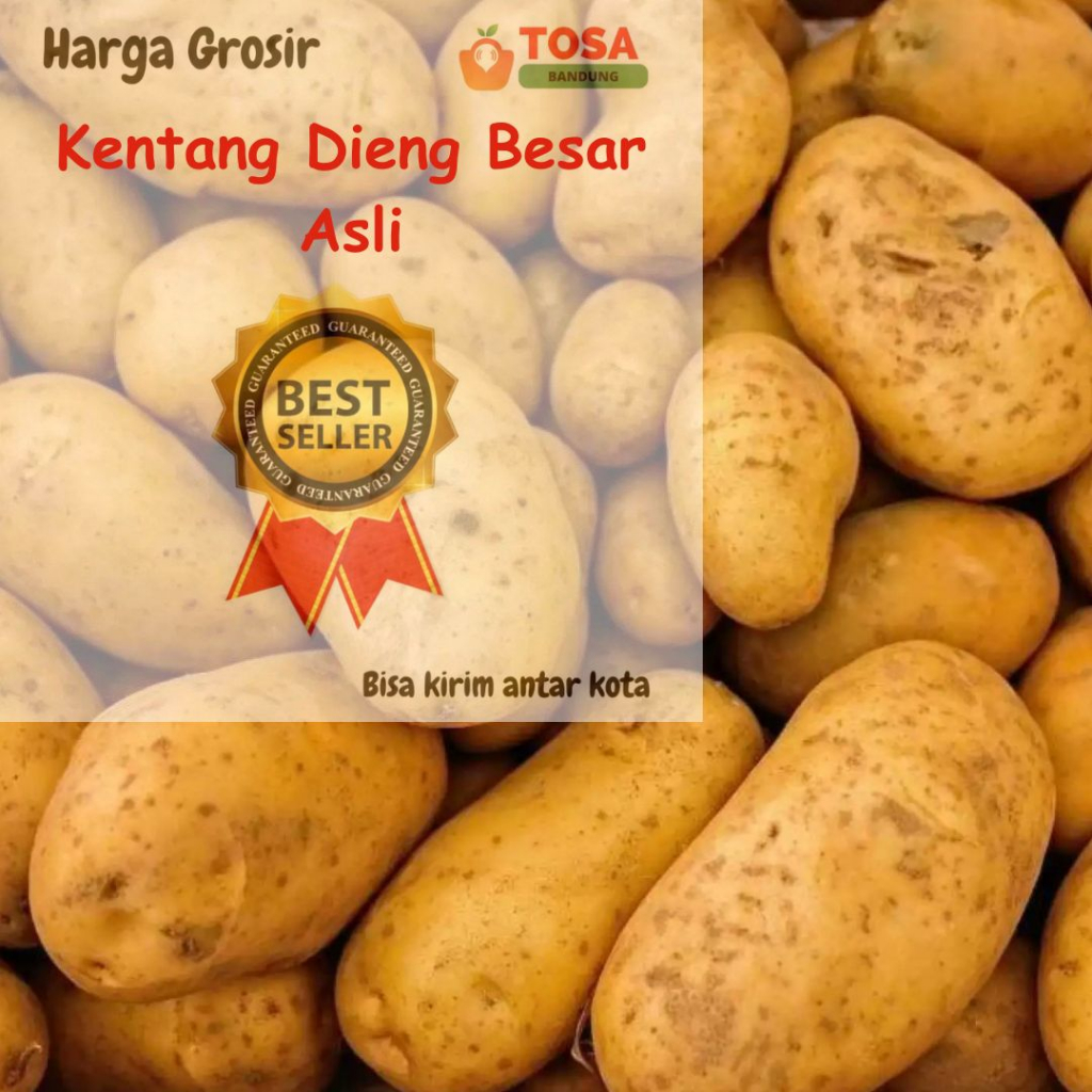 Jual Kentang Dieng Besar Kirim antar kota | Shopee Indonesia
