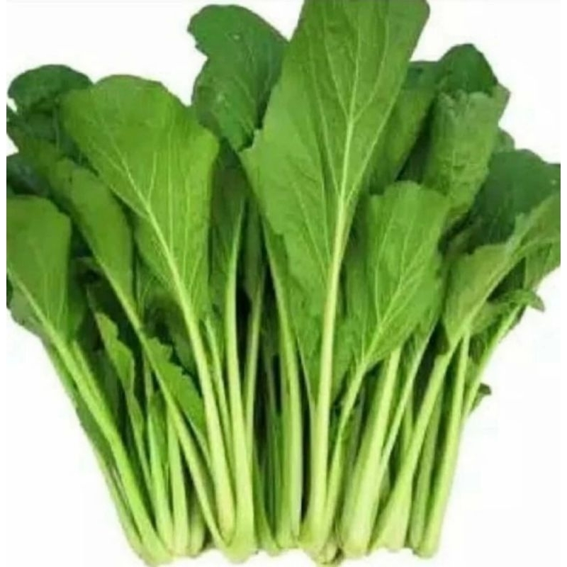 Jual Benih Sayur Sawi Hijau / Choi Sum / Sawi Bakso ( 500 Gram ...