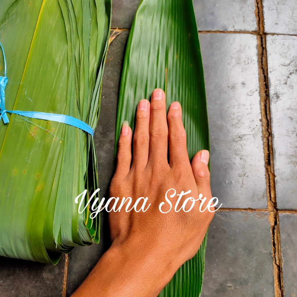 Jual Daun Bambu Segar 100 Lembar - Daun bacang - Bakcang dan herbal ...