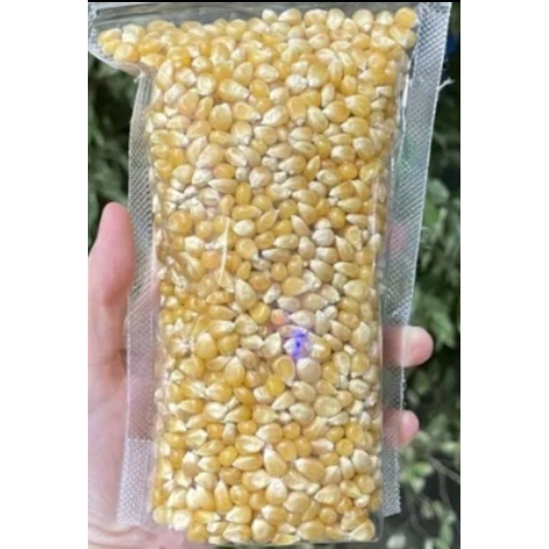 Jual jagung bahan popcorn 150 gram | Shopee Indonesia