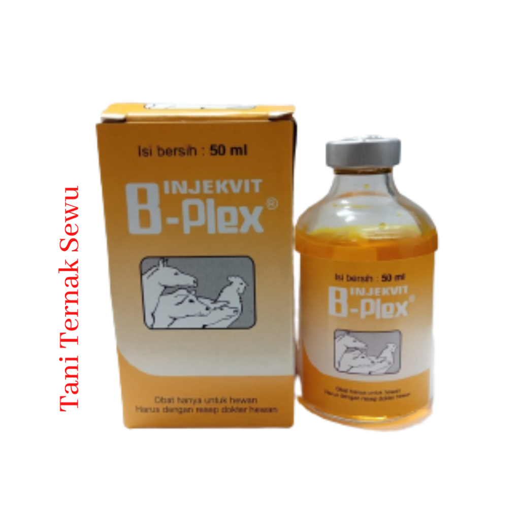 Jual INJEKVIT B PLEX 100 ml | Vitamin B complex ternak dan unggas ...