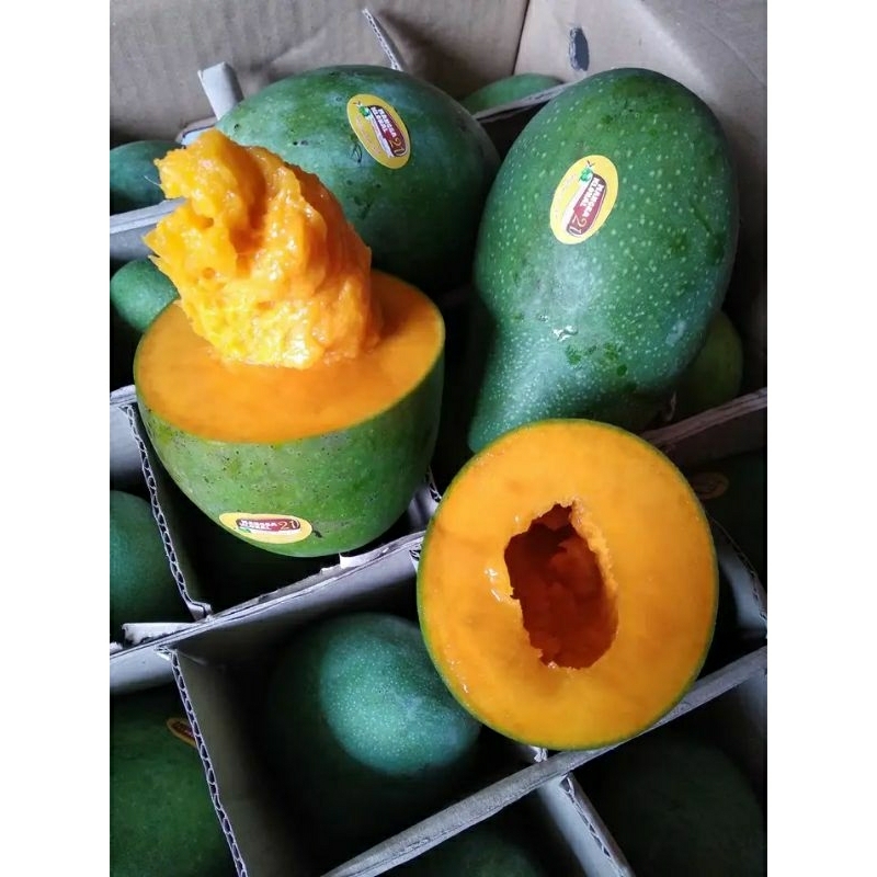 Jual Mangga Alpukat Matang Pohon 1 Dus 5Kg | Shopee Indonesia