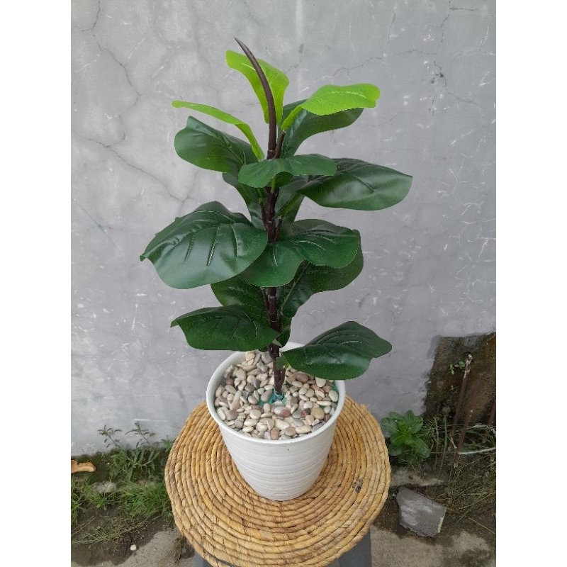 Jual TANAMAN ARTIFICIAL KETAPANG D15(sudah termasuk pot) | Shopee Indonesia