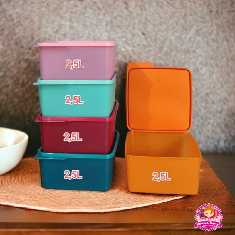 Jual Wadah Tempat Toples Makanan Kue Buah Sayur Large Cozy Nest ...