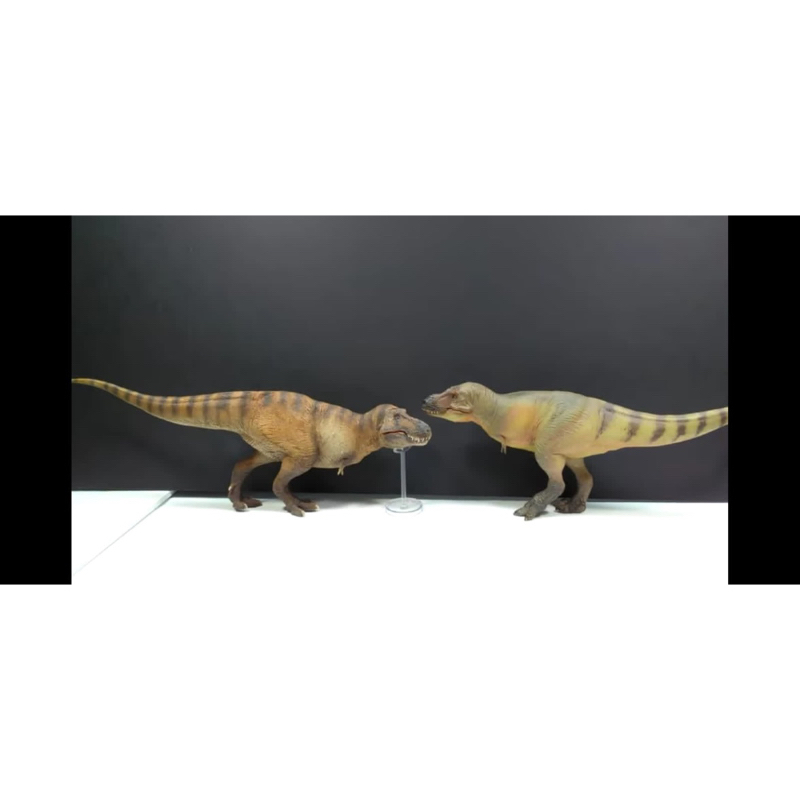 Jual PNSO Wilson Tyrannosaurus Rex | Shopee Indonesia