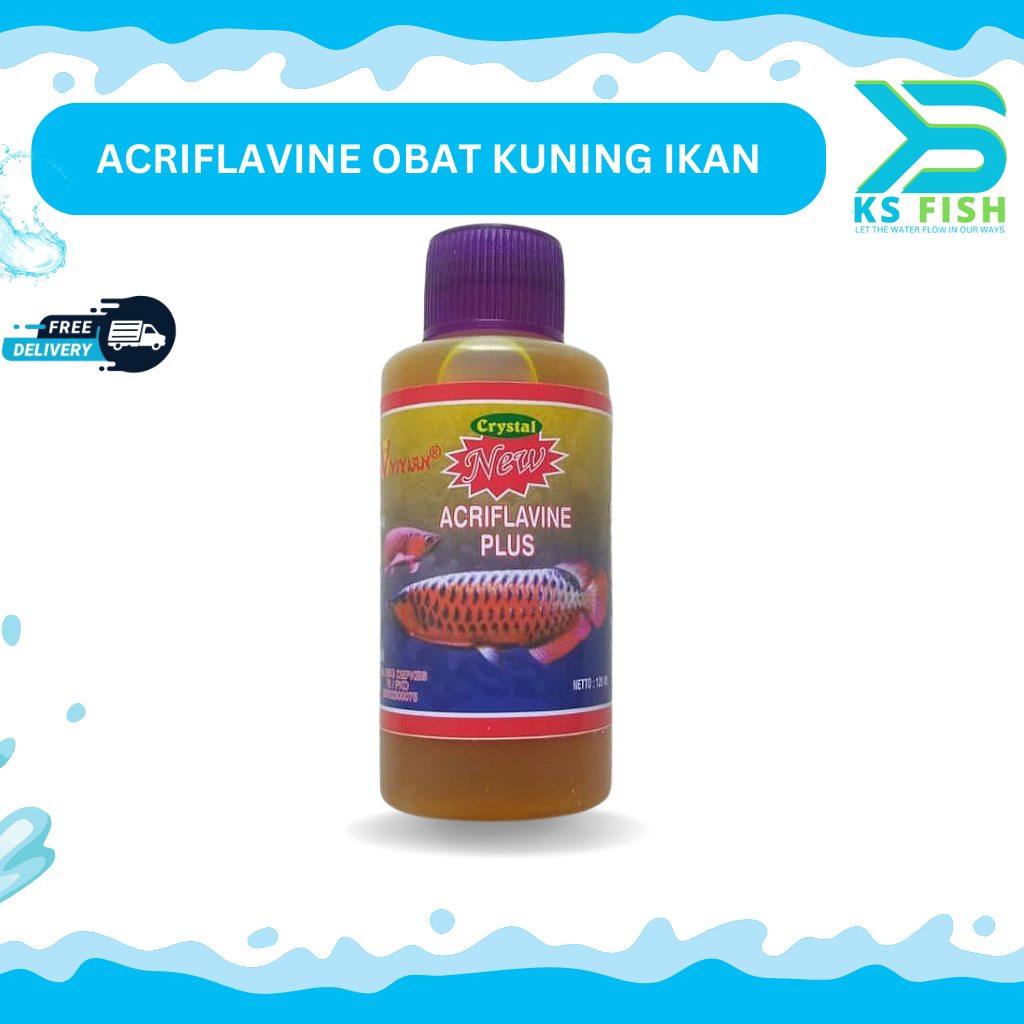 Jual Acriflavine Plus Obat Ikan Obat Kuning Ikan Hias Aquarium ...