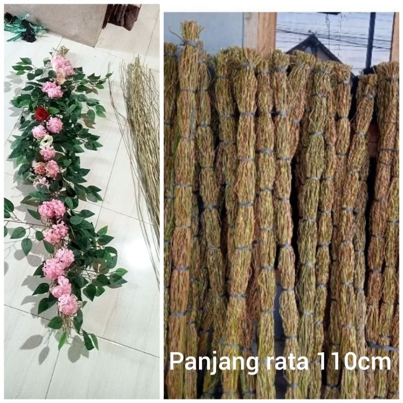 Jual Akar Manon panjang 100-110cm isi 100 btng | Shopee Indonesia