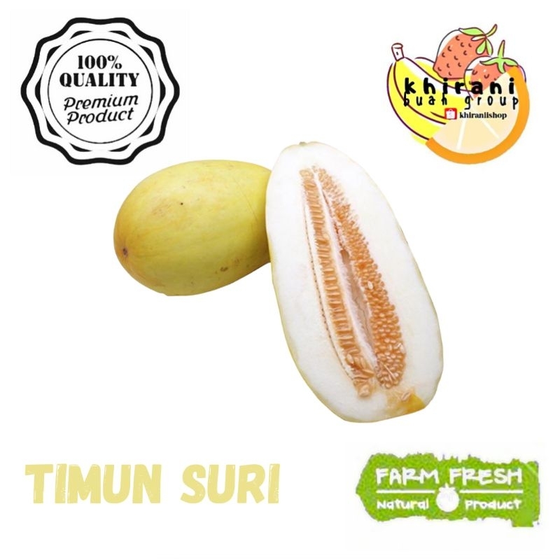 Jual TIMUN SURI/ BUAH SEGAR | Shopee Indonesia