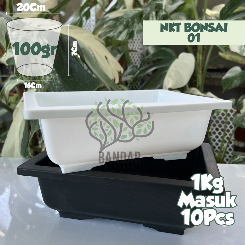 Jual NKT Bonsai 01 Warna Hitam Putih Pot Tanaman Hias Pot Bonsai Unik ...