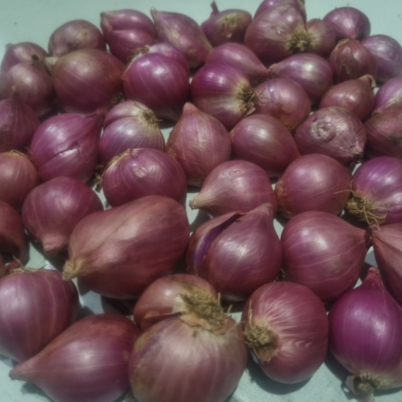 Jual Bawang Merah Murah Super 1KG Bawang Merah Probolinggo 1 kilo ...