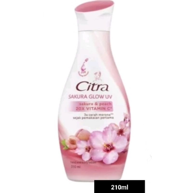 Jual Citra hand and body sakura glow UV lotion 210ml | Shopee Indonesia