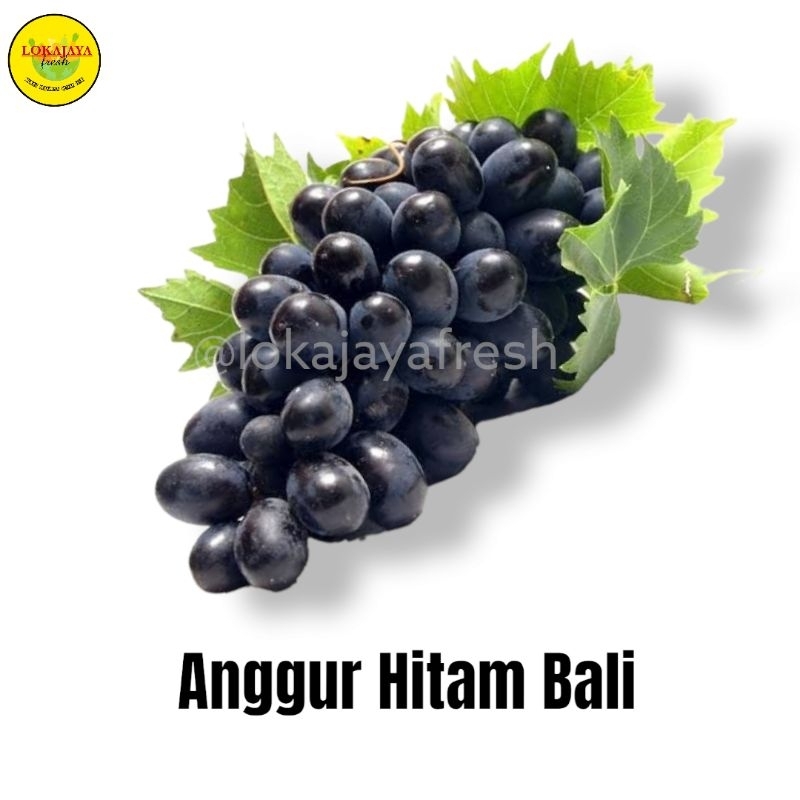 Jual [OBRAL] Anggur Hitam Bali 1 Kg | Shopee Indonesia
