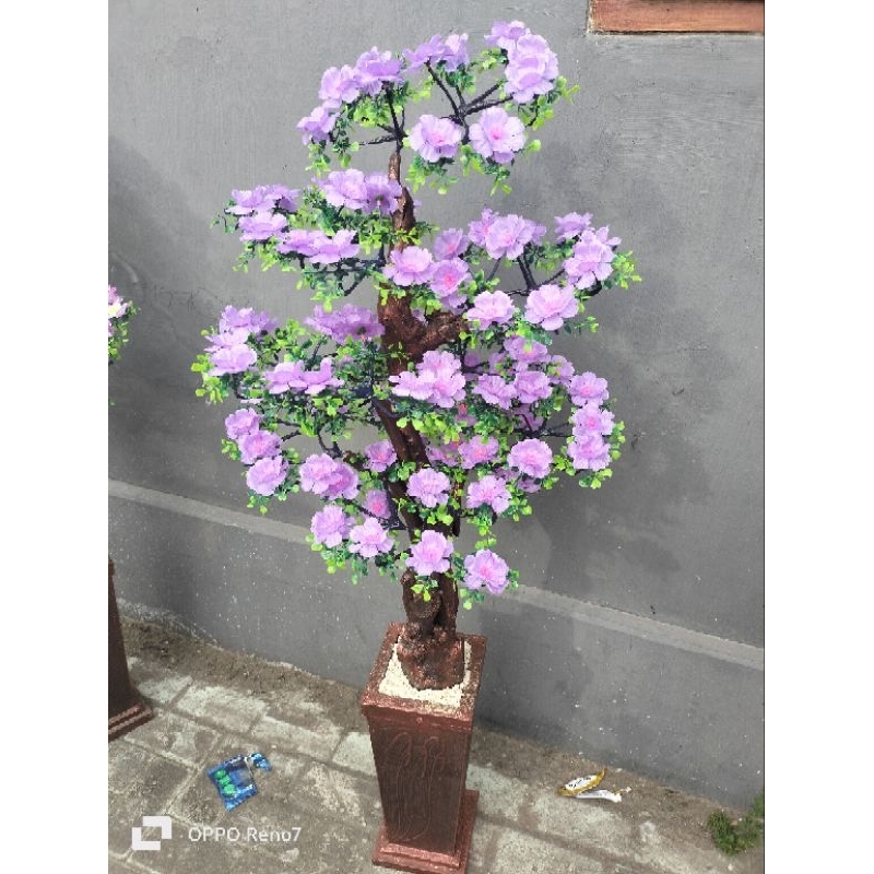 Jual TINGGI 140CM 11 KUNTUM X 9 CABANG LENGKAP POT+ BEBATUAN SAKURA ...