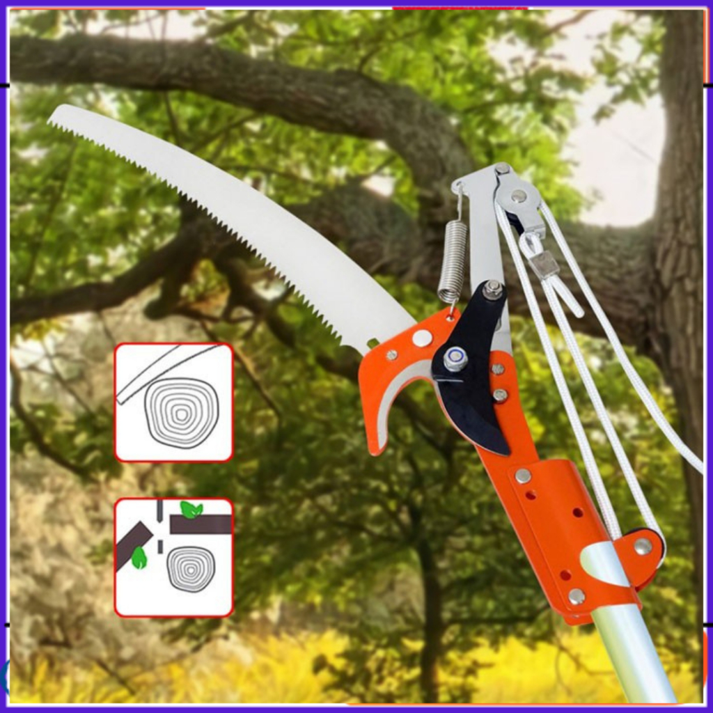 Jual Gergaji Dahan Pohon Xander Gunting Dahan Tali Gergaji Ranting Pohon Tinggi | Shopee Indonesia