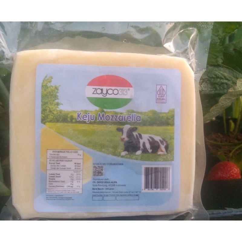 Jual Keju Mozzarella Oldenburger Zayco 250 Gram | Shopee Indonesia