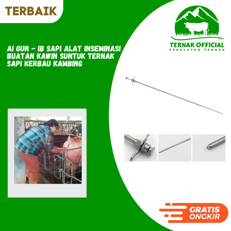 Jual AI Gun - IB Sapi Alat Inseminasi Buatan Kawin Suntik Ternak Sapi ...