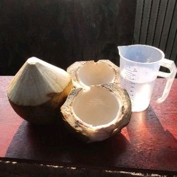 Jual Kelapa Muda Kerok 1 butir - Instant Kurir | Shopee Indonesia